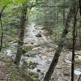 Sabbaday Falls , New Hampshire - 1,604 Reviews, Map | AllTrails