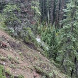 Burgess Shale and Walcott Quarry, British Columbia, Canada - 148 ...