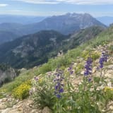 Box Elder Peak via Deer Creek-Dry Creek Trail, Utah - 365 Reviews, Map ...