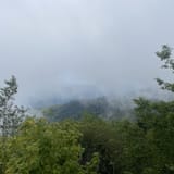 Mount Cammerer via Low Gap Trail, Tennessee - 2,104 Reviews, Map ...