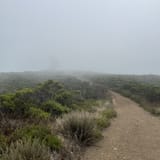 Sweeney Ridge Trail via Mori Ridge, California - 1,542 Reviews, Map ...
