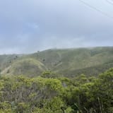 Sweeney Ridge Trail via Mori Ridge, California - 1,535 Reviews, Map ...