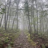 Monument Trail Loop, New Jersey - 2,031 Reviews, Map | AllTrails
