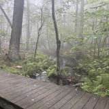 Monument Trail Loop, New Jersey - 2,031 Reviews, Map | AllTrails
