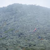 Mount Adams via Air Line Trail, New Hampshire - 763 Reviews, Map ...