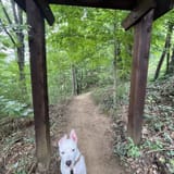 Sharps Ridge Loop Trail, Tennessee - 938 Reviews, Map | AllTrails