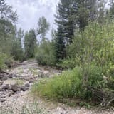 Phelps Lake, Lake Creek, and Woodland Loop, Wyoming - 3,242 Reviews ...