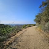 Inspiration Point Loop, California - 5,188 Reviews, Map | AllTrails
