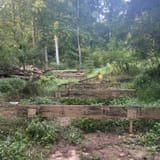 Lake Conestee Nature Trail and Swamp Rabbit Trail, South Carolina - 305 ...