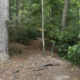 Ferncliff Trail, Pennsylvania - 1,571 Reviews, Map | AllTrails