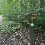 Ferncliff Trail, Pennsylvania - 1,594 Reviews, Map | AllTrails