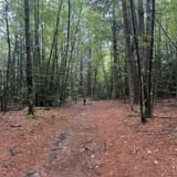 Midstate Trail Waterfall Loop, Massachusetts - 541 Reviews, Map | AllTrails