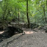 Wepre Park Circular, Flintshire, Wales - 493 Reviews, Map | AllTrails