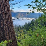 Angel's Rest, Oregon - 8,842 Reviews, Map | AllTrails