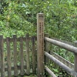 Wepre Park Circular, Flintshire, Wales - 493 Reviews, Map | AllTrails