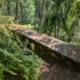 Iron Goat Trail, Washington - 1,551 Reviews, Map | AllTrails