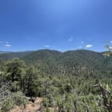 Chamisa Trail, New Mexico - 1,503 Reviews, Map | AllTrails