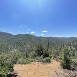 Chamisa Trail, New Mexico - 1,503 Reviews, Map | AllTrails