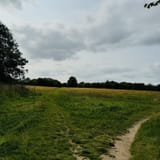 Wepre Park Circular, Flintshire, Wales - 493 Reviews, Map | AllTrails