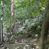 Southern Loop via Western Ridge Trail, Rock Creek, Valley Trail ...