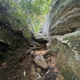 West and East Pinnacle, Kentucky - 1,333 Reviews, Map | AllTrails