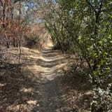 Lake Natoma American River Trail, California - 2,795 Reviews, Map ...