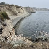 Point Arena-Stornetta Unit of the California Coastal National Monument ...