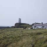 Newborough Forest Circular, Anglesey, Wales - 70 Reviews, Map | AllTrails