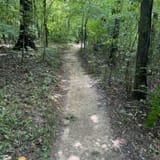 Jones Bridge Trail , Georgia - 3,392 Reviews, Map | AllTrails