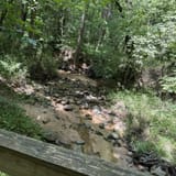 Mazeppa Park Trail, North Carolina - 465 Reviews, Map | AllTrails