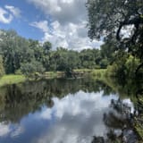 Econlockhatchee River Trail, Florida - 449 Reviews, Map | AllTrails