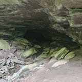 Bunkum Cave Trail, Tennessee - 238 Reviews, Map | AllTrails