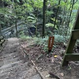 Winding Stairs Loop, Tennessee - 795 Reviews, Map | AllTrails