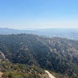 Runyon Canyon Trail, California - 8,184 Reviews, Map | AllTrails