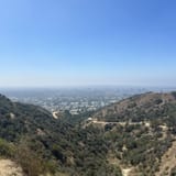Runyon Canyon Trail, California - 8,184 Reviews, Map | AllTrails