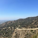 Runyon Canyon Trail, California - 8,184 Reviews, Map | AllTrails