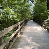 Saunders-Monticello Trail, Virginia - 1,634 Reviews, Map | AllTrails