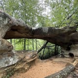 Princess Arch Trail, Kentucky - 1,440 Reviews, Map | AllTrails
