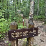 Princess Arch Trail, Kentucky - 1,440 Reviews, Map | AllTrails