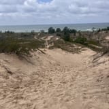 Warren Dunes Trail, Michigan - 1,561 Reviews, Map | AllTrails