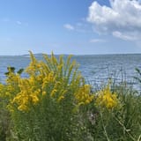 Muskegon Lakeshore Trail, Michigan - 221 Reviews, Map | AllTrails