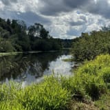 Mercer Slough Nature Park, Washington - 1,047 Reviews, Map | AllTrails