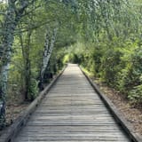 Mercer Slough Nature Park, Washington - 1,047 Reviews, Map | AllTrails