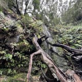 Cecilia Waterfall via Cecilia Forest, Western Cape, South Africa ...