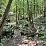 Severance Mountain, New York - 1,091 Reviews, Map | AllTrails