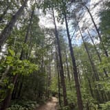 Chestnut Ridge Heritage Preserve Trail, South Carolina - 1,659 Reviews ...