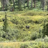 Stony Pass OHV, Colorado - 82 Reviews, Map | AllTrails