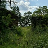 Horseshoe Mound, Illinois - 131 Reviews, Map | AllTrails