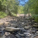 Edward's Point Trail, Tennessee - 2,733 Reviews, Map | AllTrails