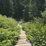 Gold Creek Pond Loop, Washington - 2,793 Reviews, Map | AllTrails